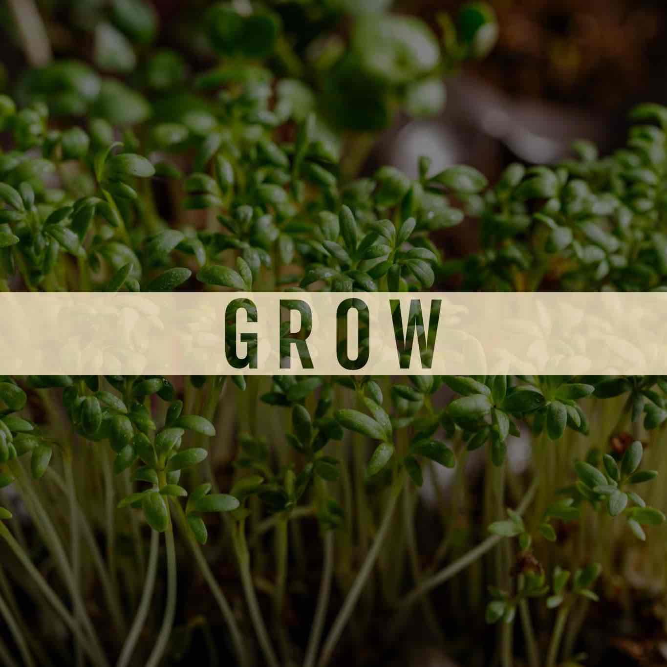 Evolve:Lyfe - Resources to Help You Survive, Grow, and Thrive